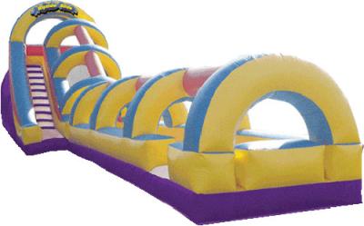 China Inflatable hippo slide giant outdoor slide, inflatable water slide for sale