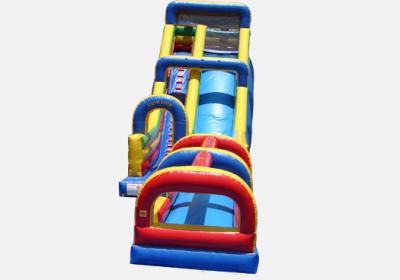 China Inflatable hippo slide giant outdoor slide, inflatable water slide for sale