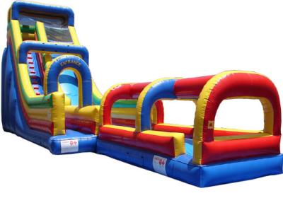 China Inflatable hippo slide giant outdoor slide, inflatable water slide for sale