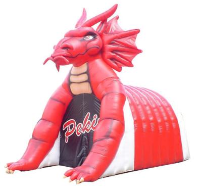 China ustom inflatable football tunnel , Football inflatable dragon mascot tunnel for sale