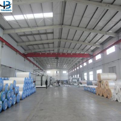 Cina Film PET opaco trasparente per la lavorazione con estrusione multipla Spessore di 12 micron in vendita