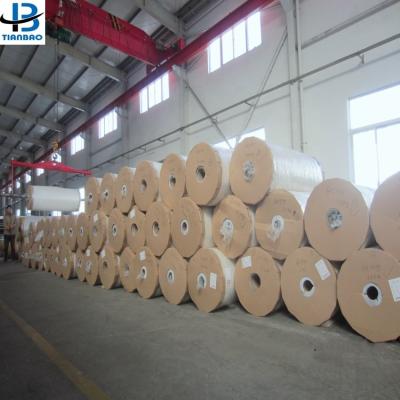 Cina Film laminante a rotoli BOPP per la stampa che fornisce le migliori prestazioni di imballaggio in vendita