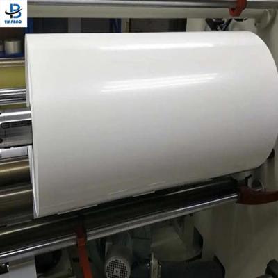 Cina Soluzione di imballaggio a prova di umidità con pellicola di poliestere rivestita con materiali metallizzati ad alta lucentezza in vendita