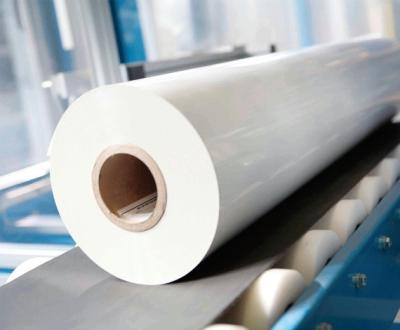 Cina Pellicola PET a colori personalizzata per ordini in blocco in vendita