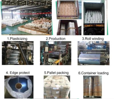 Cina Film trasparente e metallizzato per serre tipo di lavorazione per lo stampaggio a soffio in vendita