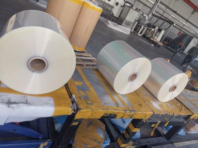 Cina Film trasparente e metallizzato per serre tipo di lavorazione per lo stampaggio a soffio in vendita