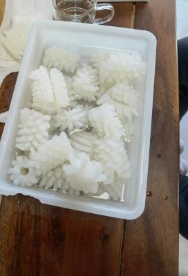 China Fixed Weight Fresh Frozen Squid Flower Dosidicus Gigas for sale