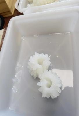 China Fixed Weight Fresh Frozen Squid Flower Dosidicus Gigas for sale