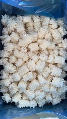 China Fixed Weight Fresh Frozen Squid Flower Dosidicus Gigas for sale