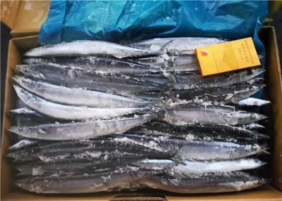 Pesce fresco sano del luccio sauro congelato 90g #2 per grigliare