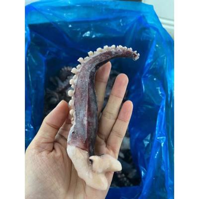 Cina Tentacoli congelati di vendita caldi nanowatt 30 60g del grado di un calamaro gigante di qualità in vendita