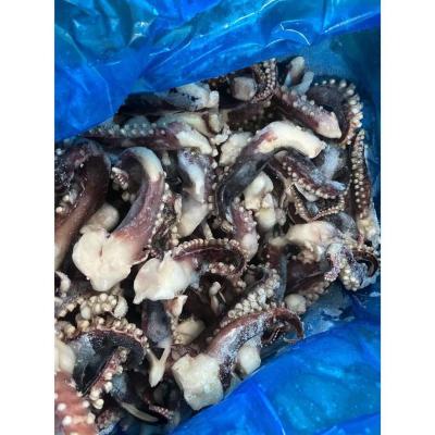 Cina Tentacoli congelati di vendita caldi nanowatt 30 60g del grado di un calamaro gigante di qualità in vendita