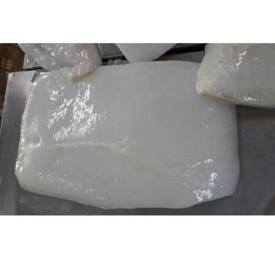 China Natural Color Ocean Squid Fillets Skin Off New Frozen Squid for sale