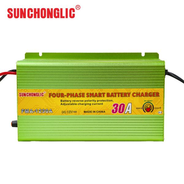 Quality AC 220V AGM GEL Battery Charger Convenient 12v 30 Amp Battery Charger Long Lasting for sale