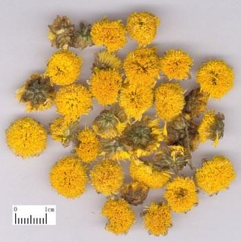 China Flower tea, chinese herbal tea for sale
