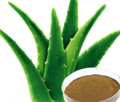 China Traditional chinese herbal extracts Patent formula for sale