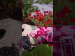 Vlinder Digitaal Print Tuinwerk handschoenen met TPR-inslagbescherming en kleurrijke digitale afdrukken