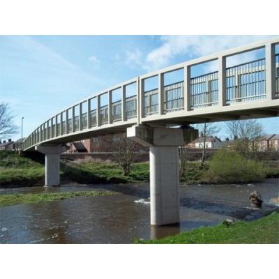 China Prefabricated Steel Truss Pedestrian Bridge Design Bailey Bridge Structures for sale