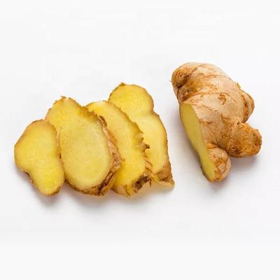 China New 10kg Organic Young Ginger High-quality Package Wholesale From Chinese Suppliers for Export for sale