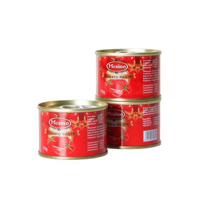 China High Quality 70g Canned Tomato Paste Fresh Brand New Product Lower Price Ketchup for sale