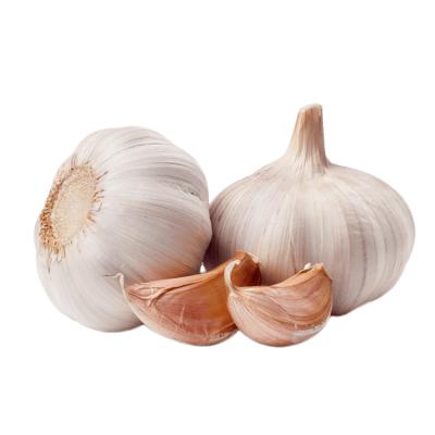 China Fresh Garlic Bulk from China Farm Direct Supply White Garlic for sale