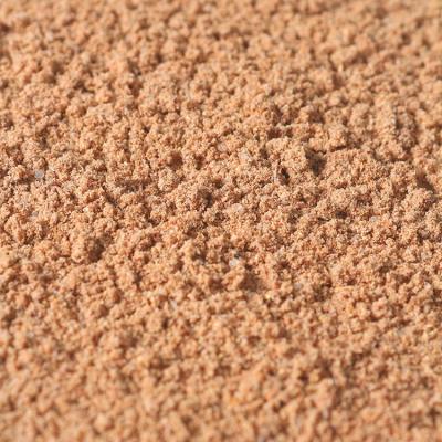 China Garlic Marinade Bulk Cooking Seasoning Powder BBQ Spices Garlic Marinade for sale