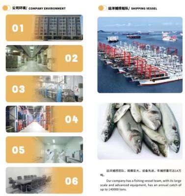China Medium size Seafood Tuna product contains shellfish or fish allergens suitable for commercial buyers seeking seafood options for sale