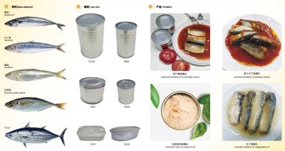 China Shelf Life 3-5 Years Frozen Sardine Fish Frozen Sardine Fish Product Meeting Industry Standards and Freshness Requirements for sale