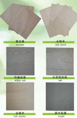 Cina 13mm 15mm 18mm 1220 x 2440 millimetri 4 x 8 piedi muoiono compensato Dieboard del bordo per l'operaio stampatore in vendita