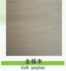 Cina 13mm 15mm 18mm 1220 x 2440 millimetri 4 x 8 piedi muoiono compensato Dieboard del bordo per l'operaio stampatore in vendita