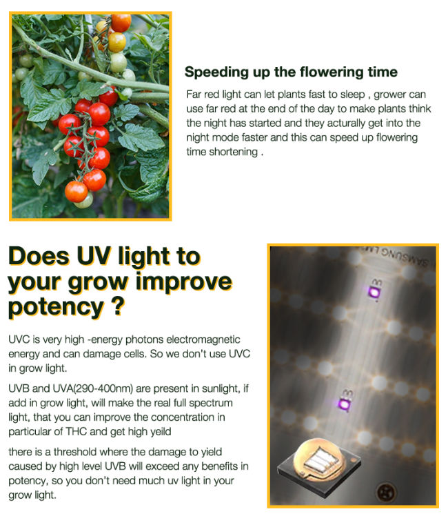 BAVAGREEN 720W Samsung LED Grow Light  red uv ir Full Spectrum  lm301h quanutm board 3