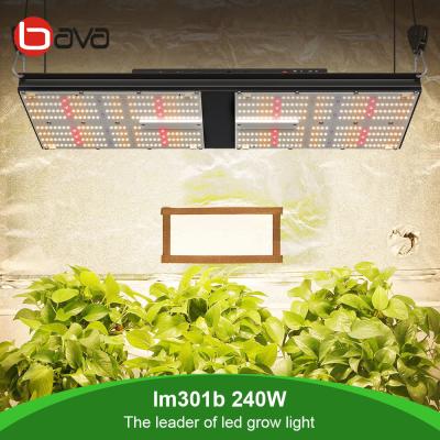 Китай Доска Samsung LM301H Кванта приведенная вырасти светлое 240W для медицинских заводов продается