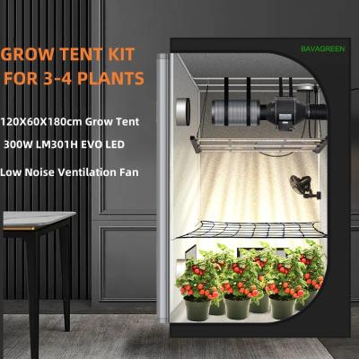 China 3 Plants Growzelt Complete Kit 300W Samsung LM301H EVO Pflanzenlampe Led Vollspektrum For 60x120cm Grow Box Se for sale