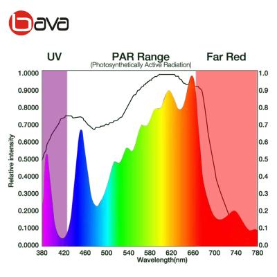 Cina lo spettro completo di 5*5ft 800W 22KG Dimmable ha condotto il bordo di SAMSUNG LM301H in vendita