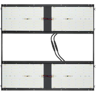 Cina Luci progressive dello SSL Sunlike LED del bordo LM301H 480W Osram di ETL 4x4 SAMSUNG in vendita
