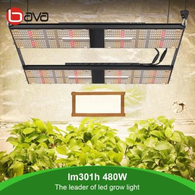 China 1248 Umol/S 385nm UV Samsung Lm301H CETL Hydroponic LED Grow Lights for sale