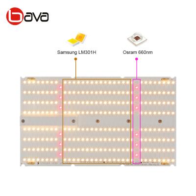 China Bavagreen 660nm IP20 LM301H LED Grow Light Qb288 240W Pre Assembled for sale