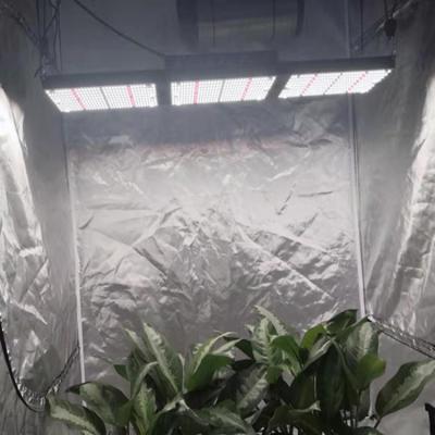 中国 サムスンLM301BはBAVA Quantum板を欠く320wの温室がランプ816umol/sを育てる 販売のため