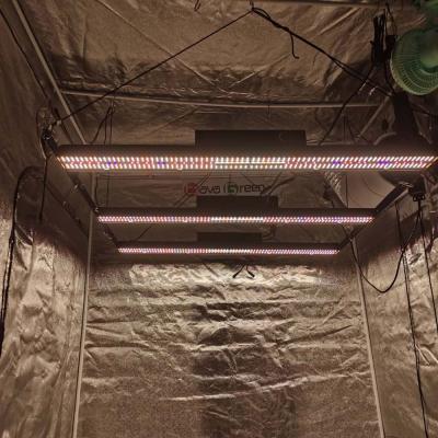 Cina Barra luminosa completa UV di spettro del driver 600W 5000k 385nm di Sosen per la verdura dell'interno in vendita