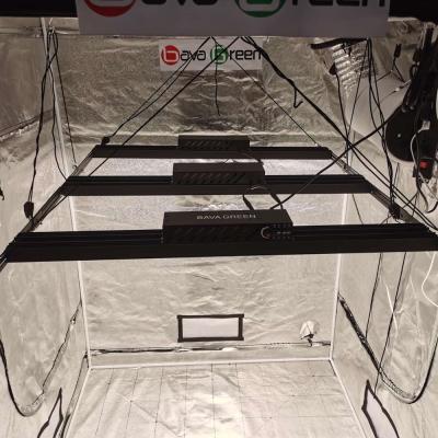 Cina Barra luminosa completa UV di spettro del driver 600W 5000k 385nm di Sosen per la verdura dell'interno in vendita
