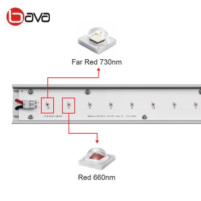 China Kweken de Geleide Hulplichten van AC100V 660nm 730nm Lichten SAA voor Installaties Te koop
