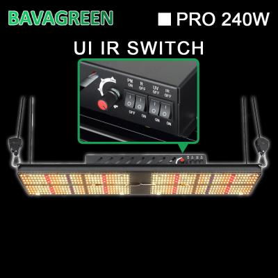 Cina 24pcs spettro regolabile Bavagreen 240W della luce progressiva della pianta medicinale LM301H LED in vendita