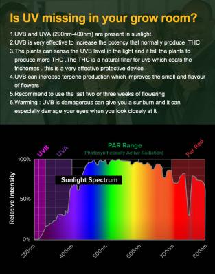 Cina Bordo AC100-277V di SAMSUNG LM301B LED della luce progressiva della pianta d'appartamento 480W LED in vendita