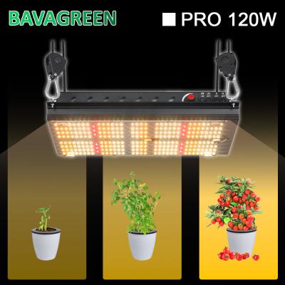 Cina il giardino dell'interno del bordo 120W Samsung di 3000K 5000K LM301B Quantum ha condotto le luci progressive in vendita