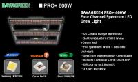 China Adjustable Spectrum UVA UVB LED Grow Light dimming RoHS Certification for sale