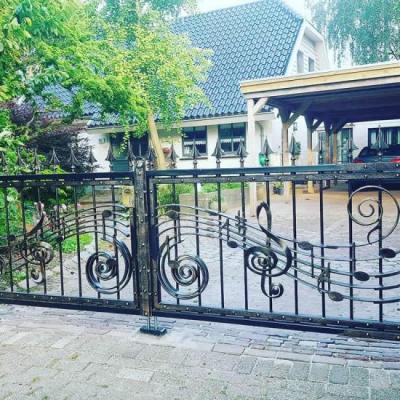 China Customized Color Wrought Iron Courtyard Entry Gates Vintage Front Courtyard Gates for sale