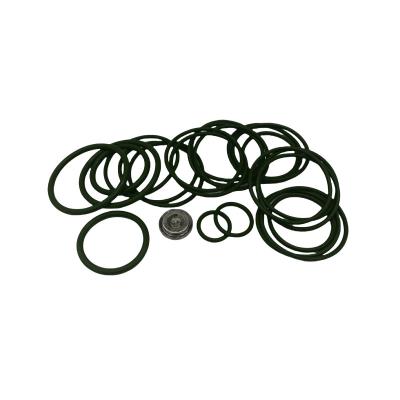 China FKM EPDM NBR Ringe 20 Baker Setzwerkzeuge Korrektur-Kit für Brücken-Plug-Roller-Systeme zu verkaufen