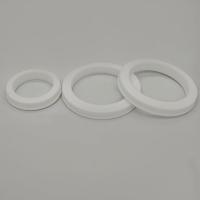 China PTFE Hammer Union Seal 2