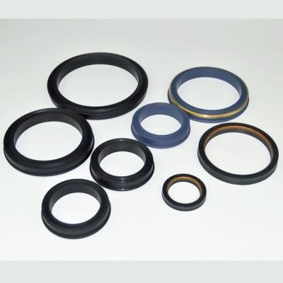 中国 H2S耐性 HNBR HSN 石油田のためのウェコ連合シール 販売のため