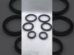 High Performance Buna/FKM/HSN Hammer Union Seal with Stainless Steel